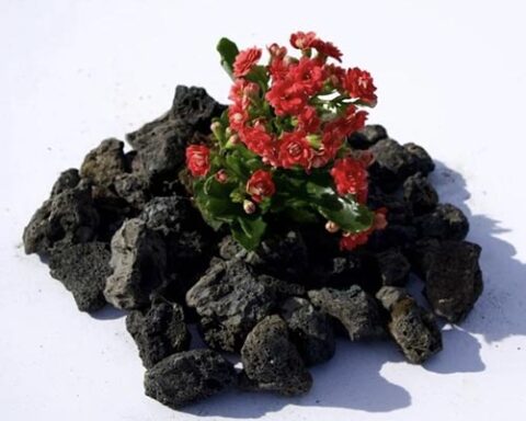 Decorative Rock Near Me - Cobble - Delivery